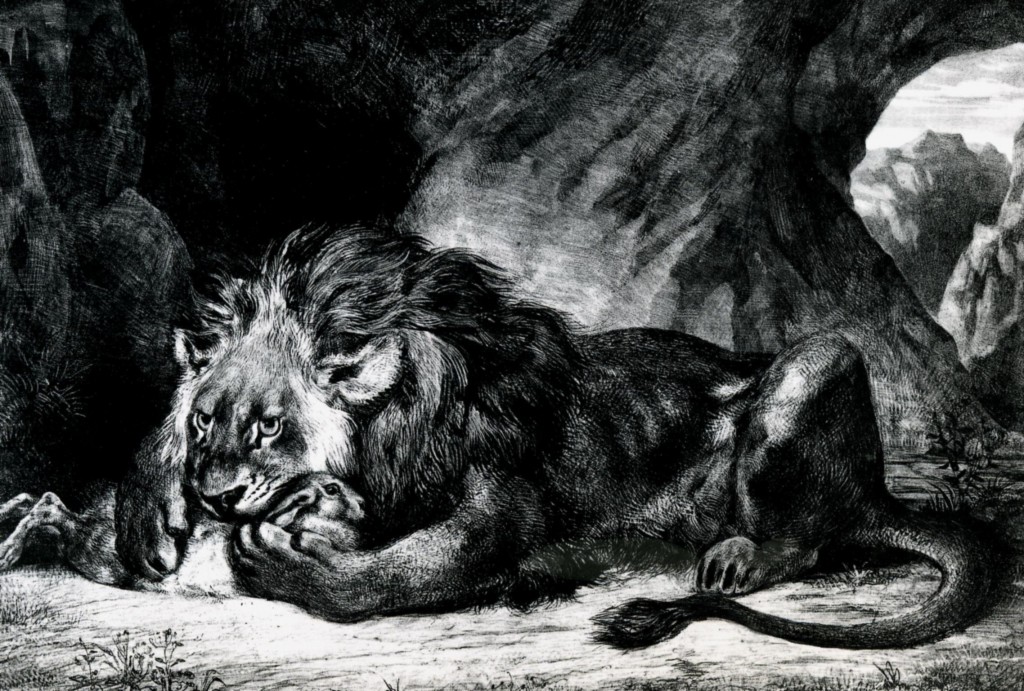 León del Atlas – Marruecos.com